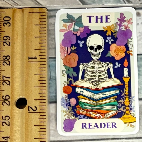 Design | 110 The Reader Skeleton Tarot Card Reusable Waterproof Vinyl ...